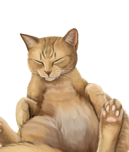 Cat Caricature Online - Top Cat Caricature Artists (+ Examples)